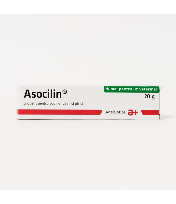 Asocilin ung. x 20 g